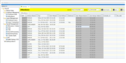 Payroll Software Custom – DEEP DIGITAL DEVELOPMENT